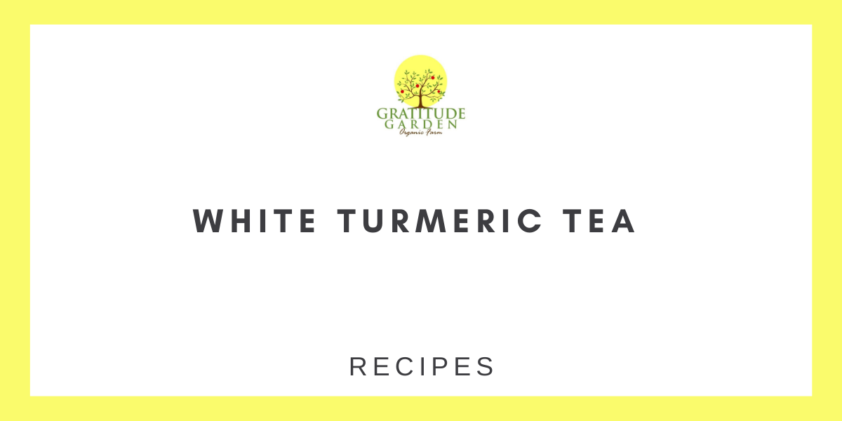 WHITE TURMERIC TEA – Gratitude Garden Farm